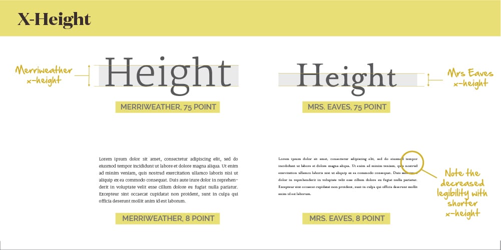 X-Height: An Easy Breakdown of the Basics | Warp + Weft Branding